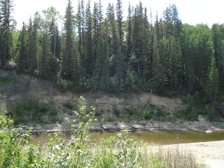 Hinton Trail, Alberta